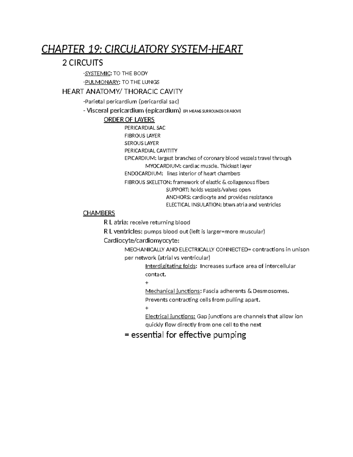 EXAM 3 KEY Points chapters 19, 20,and 21 - CHAPTER 19: CIRCULATORY ...