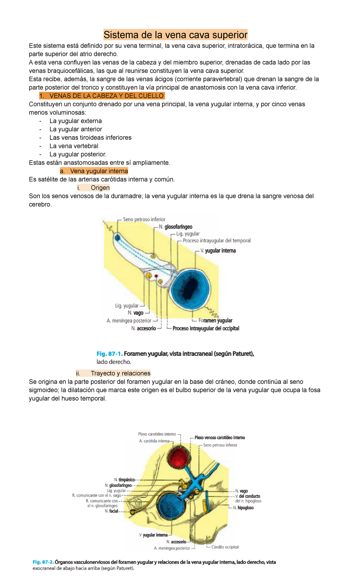 Latarjet Cap. 87 - Sistema de la vena cava superior - Sistema de la ...