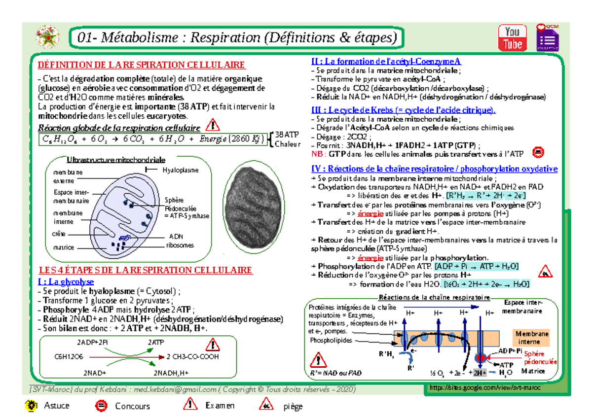 1-Respiration-1 - La respiration cellulaire - 01- Métabolisme ...