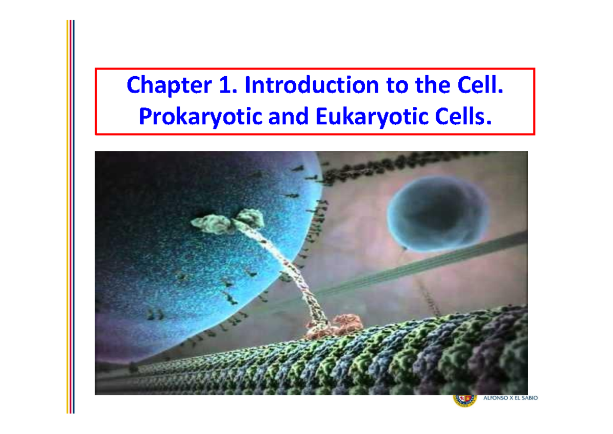 Chapter 1. Introduction to the Cell. Prokaryotic and Eukaryotic Cells ...