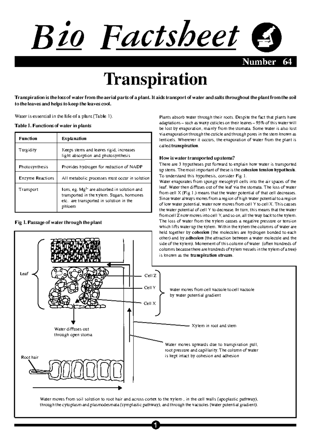 Transpiration - Transpiration Bio Factsheet January 2000 Number 64 Fig ...