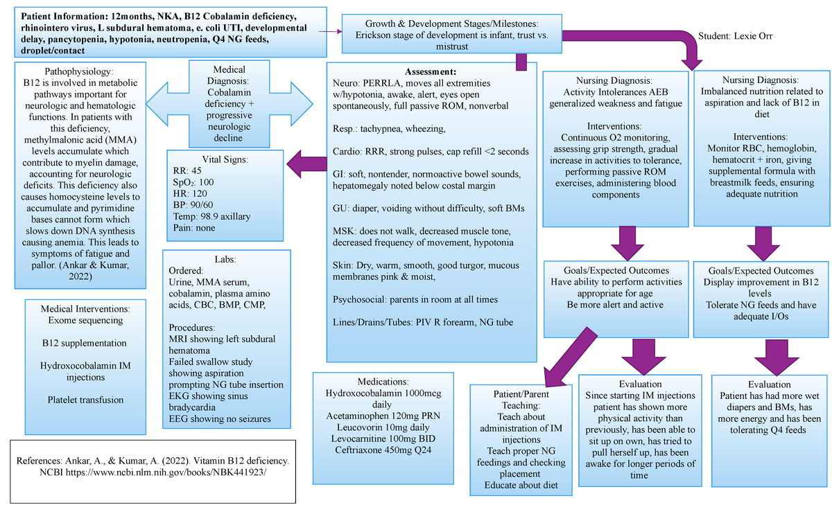 NSG 441 Concept Map #2 - Student: Lexie Orr Pathophysiology: B12 is ...