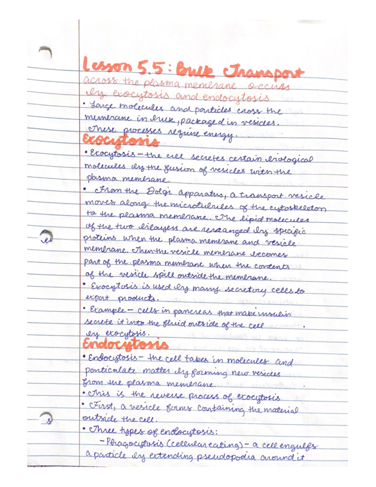 Bulk Transport - BIO 115 - Studocu