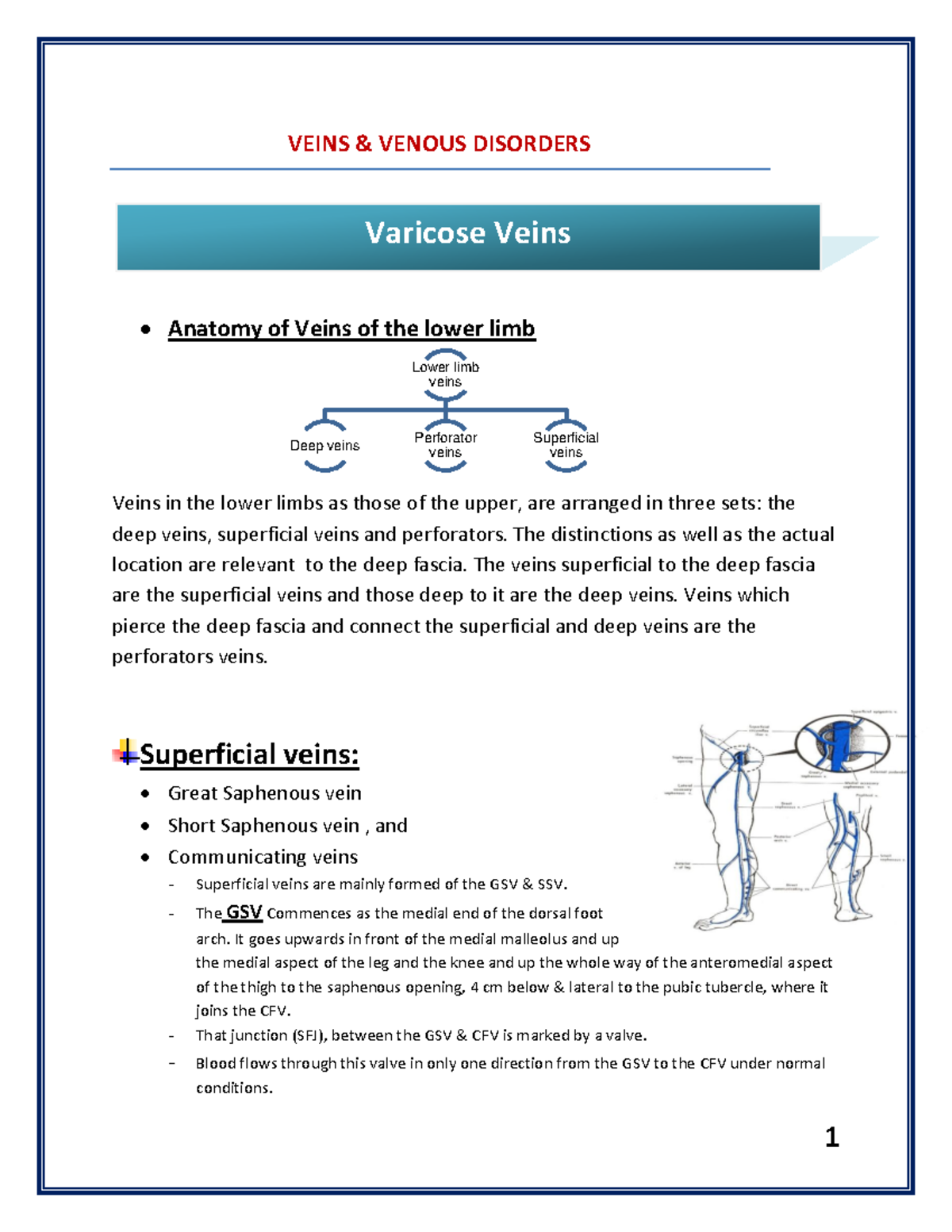 Lec 1 and2 - cvl - VEINS & VENOUS DISORDERS • Anatomy of Veins of the ...