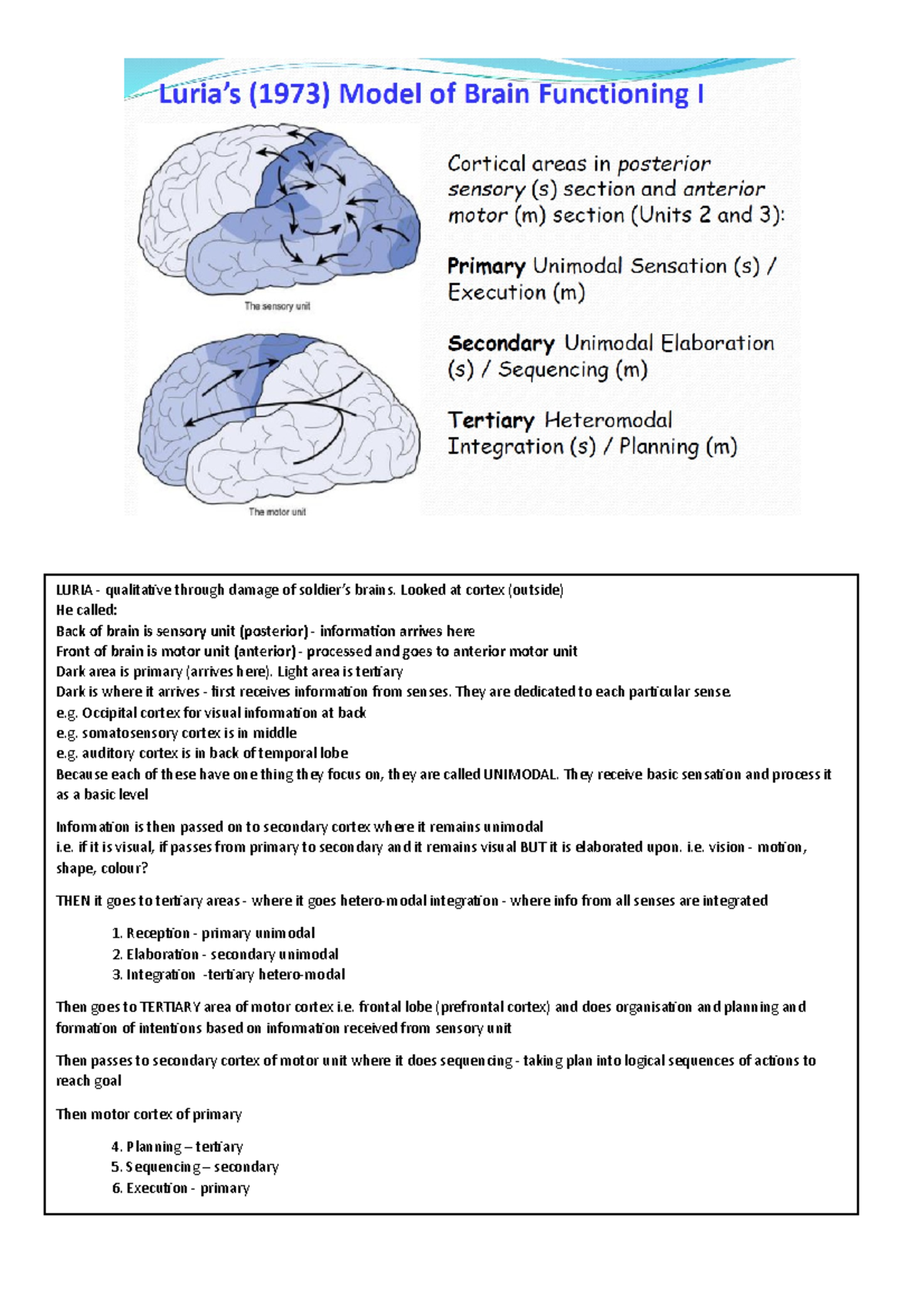 Week One - Luria Mesulam - Notes used for A+ in exam - LURIA ...