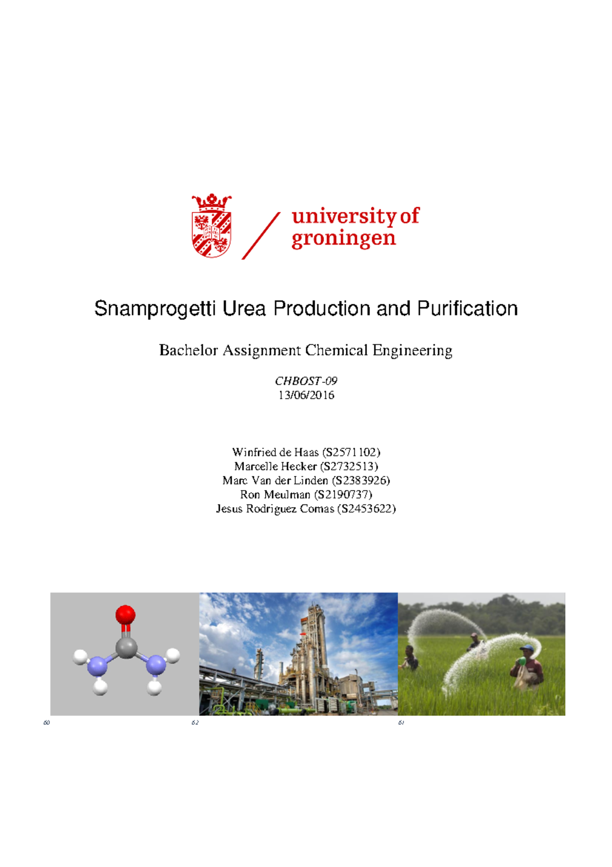 CE BC 2016 Urea Group Report - Snamprogetti Urea Production and ...