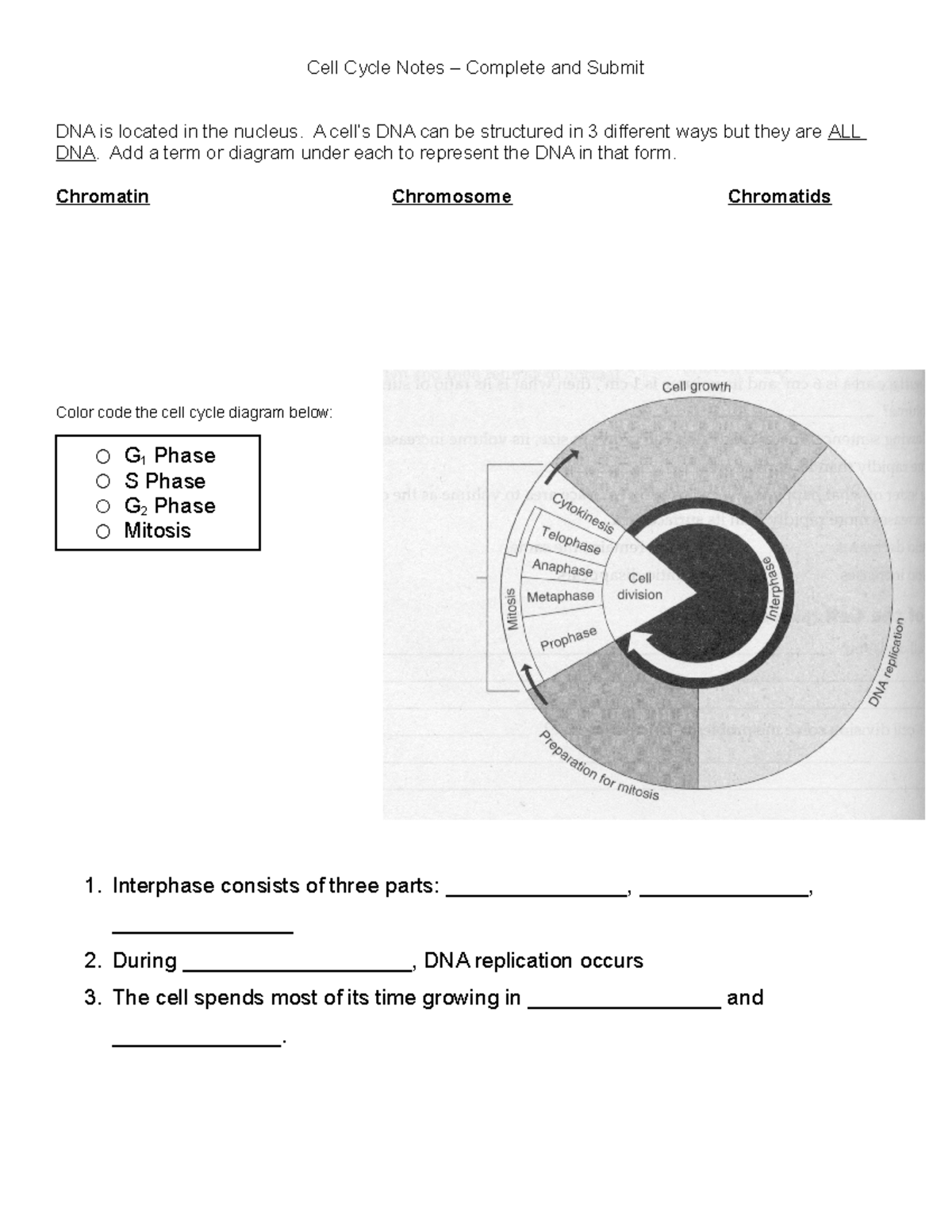 Online Cell Cycle & Cancer-1 - Cell Cycle Notes – Complete and Submit ...