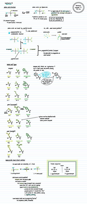 Fall 2021 - Midterm 1 Practice Questions Answer Key - BIO361 - Midterm ...