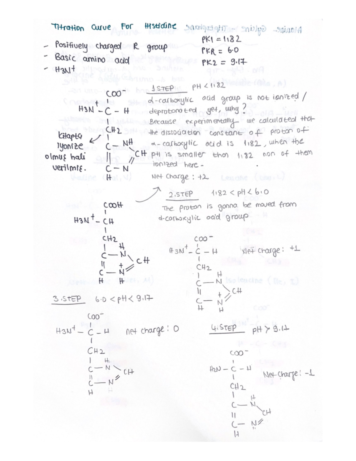 Biochem Midterm 1 2 - Summary Molecular Biology & Genetics - Molecular ...