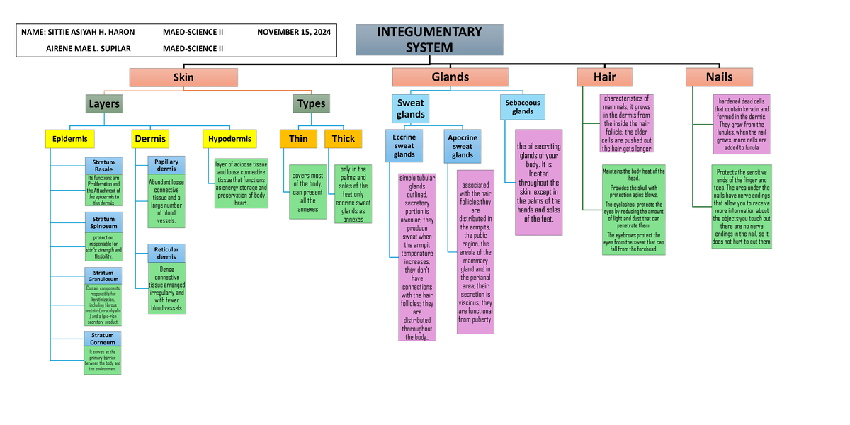 Concept-Map-Haron-Supilar- Integumentary System 065734 - INTEGUMENTARY ...