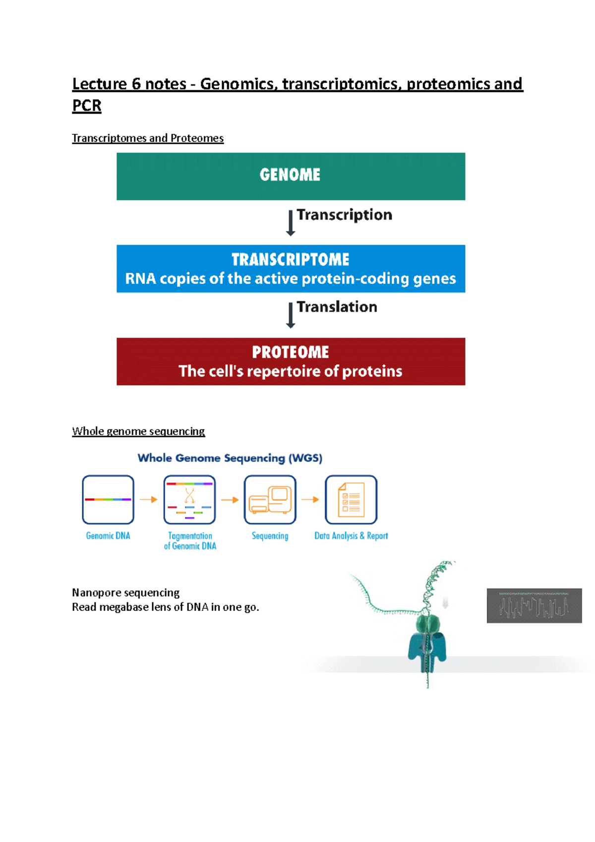 Transcriptonomics - Lecture 6 notes - Genomics, transcriptomics ...