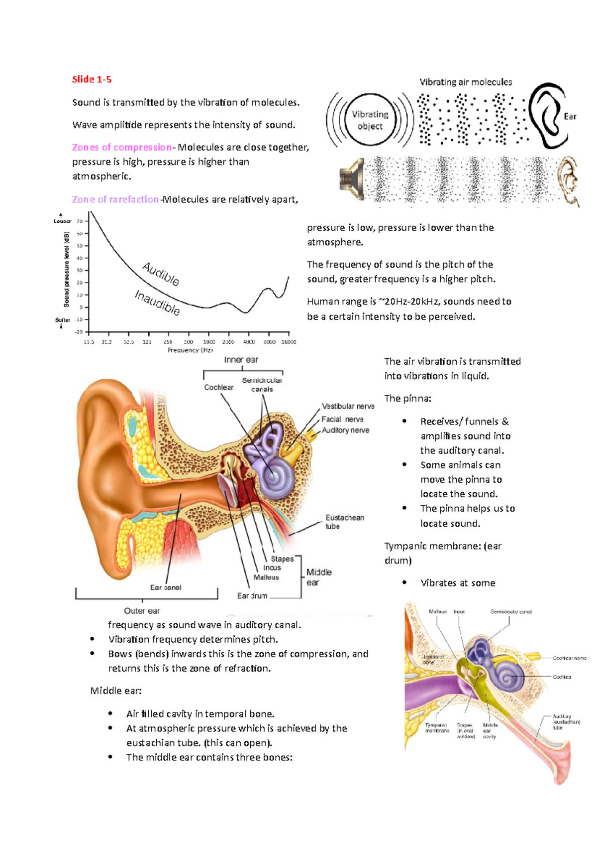The Ear notes - L1-8 - Slide 1- Sound is transmitted by the vibration ...