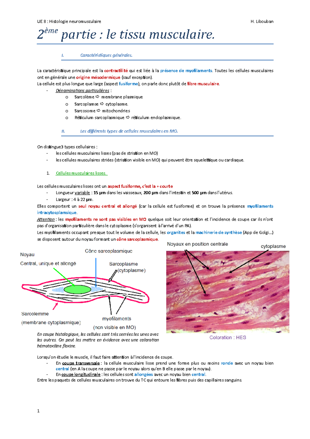 2ème partie - Le tissu musculaire - UE 8 : Histologie neuromusculaire H. Libouban 2ème partie ...