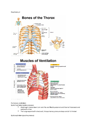 Lecture 3 Histology, Tissues and the Integumentary System x2 - Warning: TT: undefined function ...