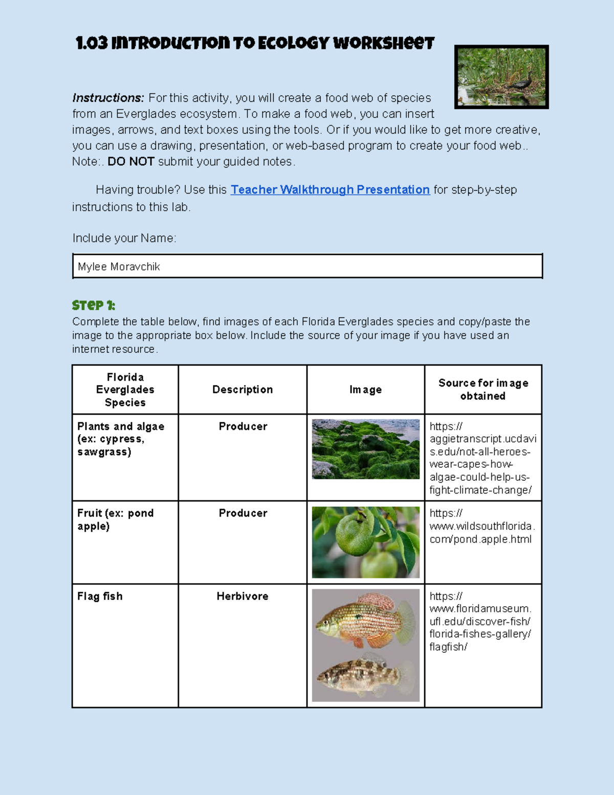 1.03 Introduction to Ecology Lab Report Mylee - 1 Introduction to ...