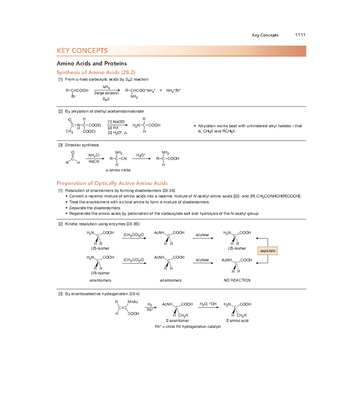 Proteins questions - smith - Key Concepts 1111 KEY CONCEPTS Amino Acids ...