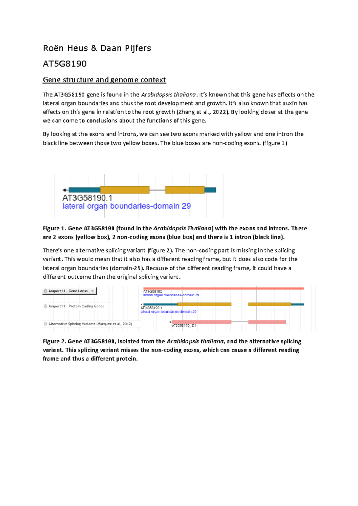 Michel AT 5G8190Roën Daan - Roën Heus & Daan Pijfers AT5G Gene ...