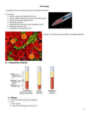 Reproductive Anatomy Study Guide - coiled channels of the epididymis ...