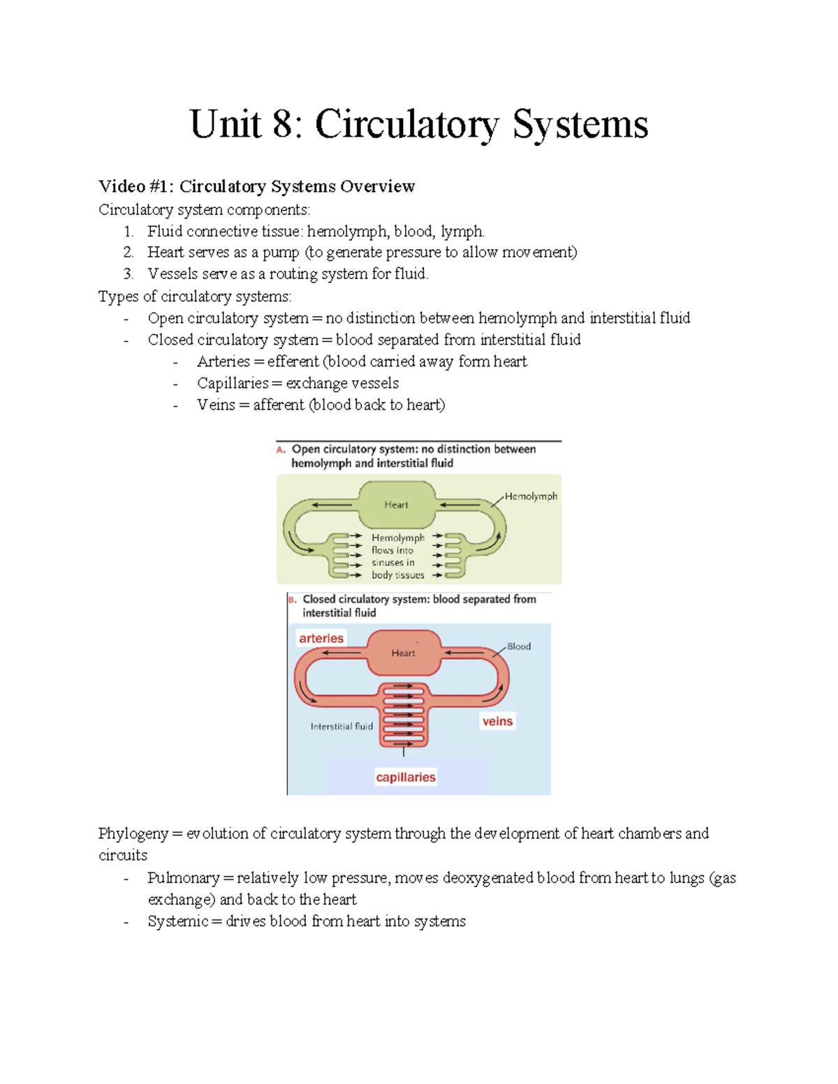 Unit 8 Circulatory Systems - Unit 8: Circulatory Systems Video #1 ...