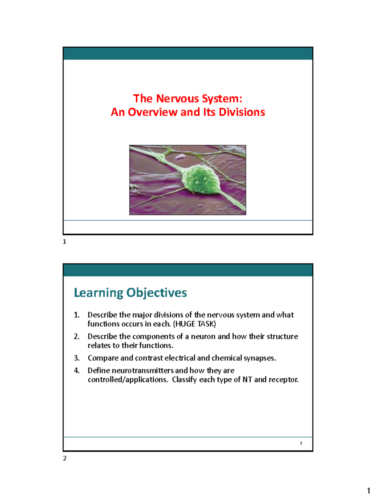 5. Nervous System - Part 1-1 - The Nervous System: An Overview and Its ...