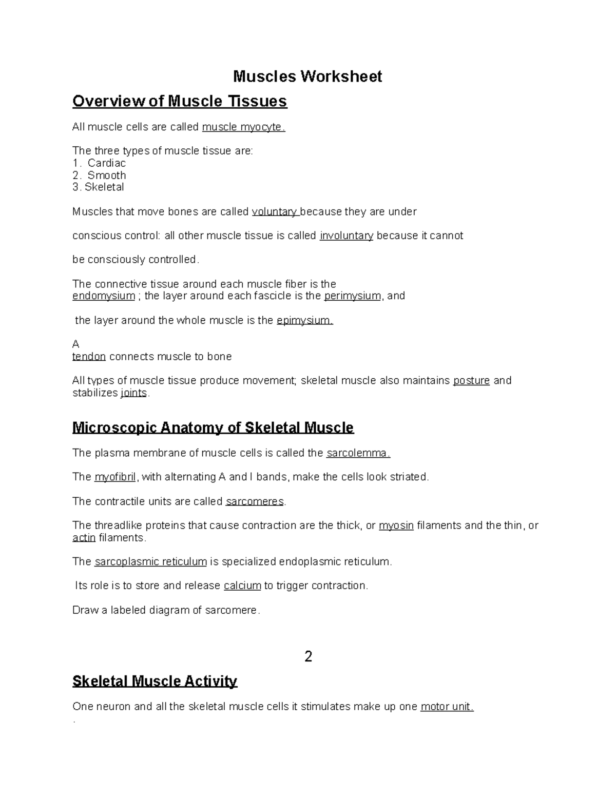 The Muscular System Writing Assignment - Muscles Worksheet Overview of ...