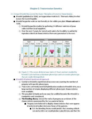 Chapter 1 The Molecular Basis of Heredity, Variation, and Evolution - 1 ...