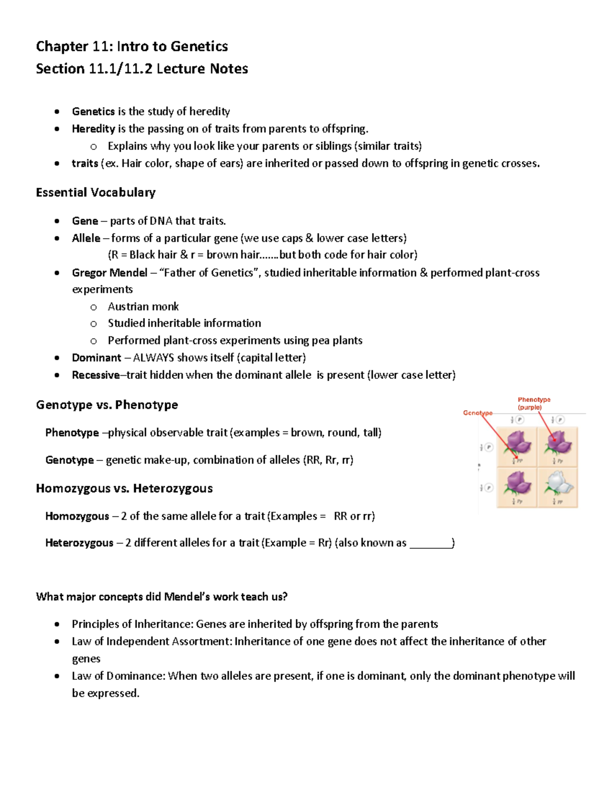 Chapter 11.1 2 Lecture Notes - Chapter 11: Intro to Genetics Section 11 ...