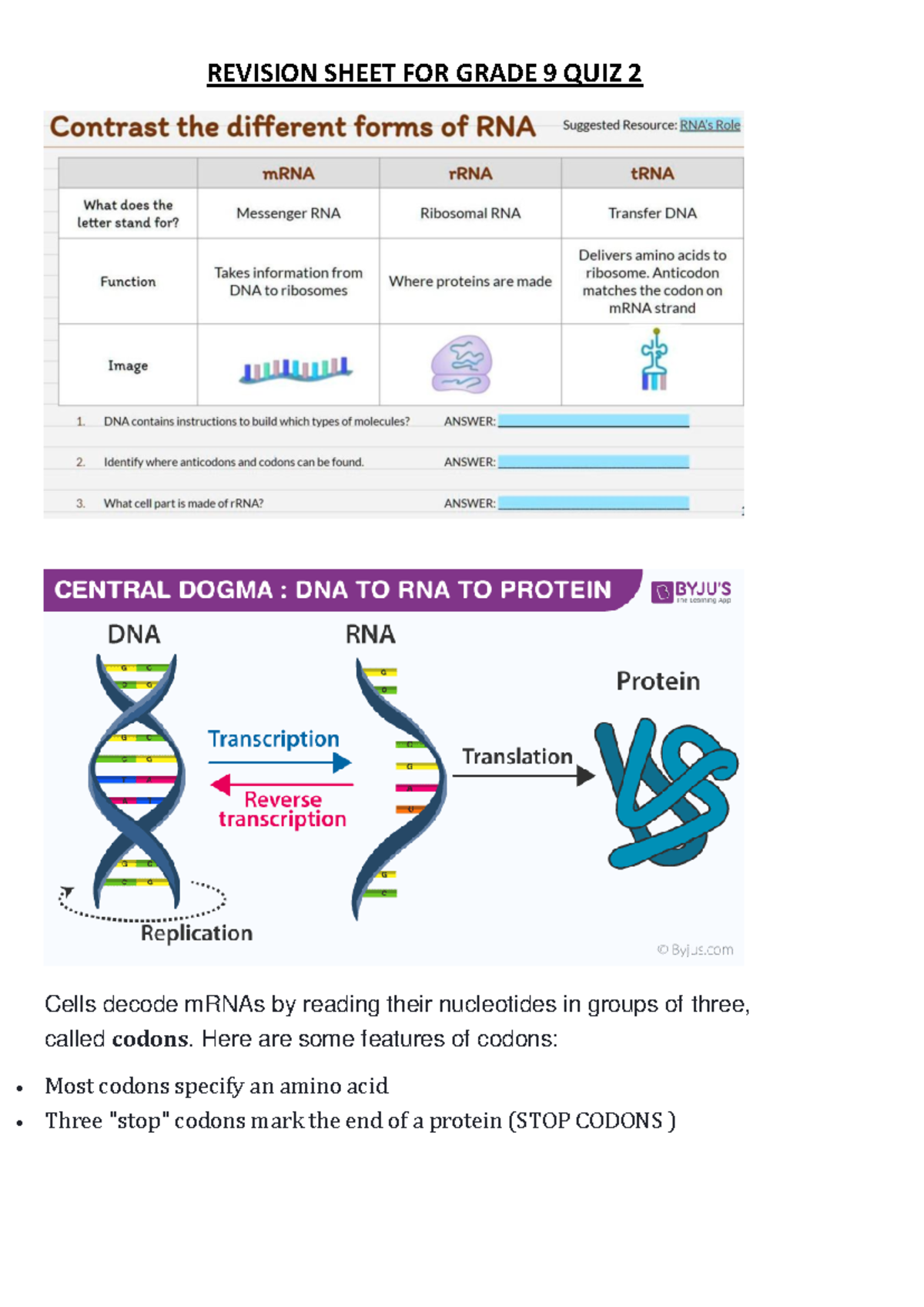 Revision Sheet QUIZ 2 FOR Grade 9 - Cells decode mRNAs by reading their ...