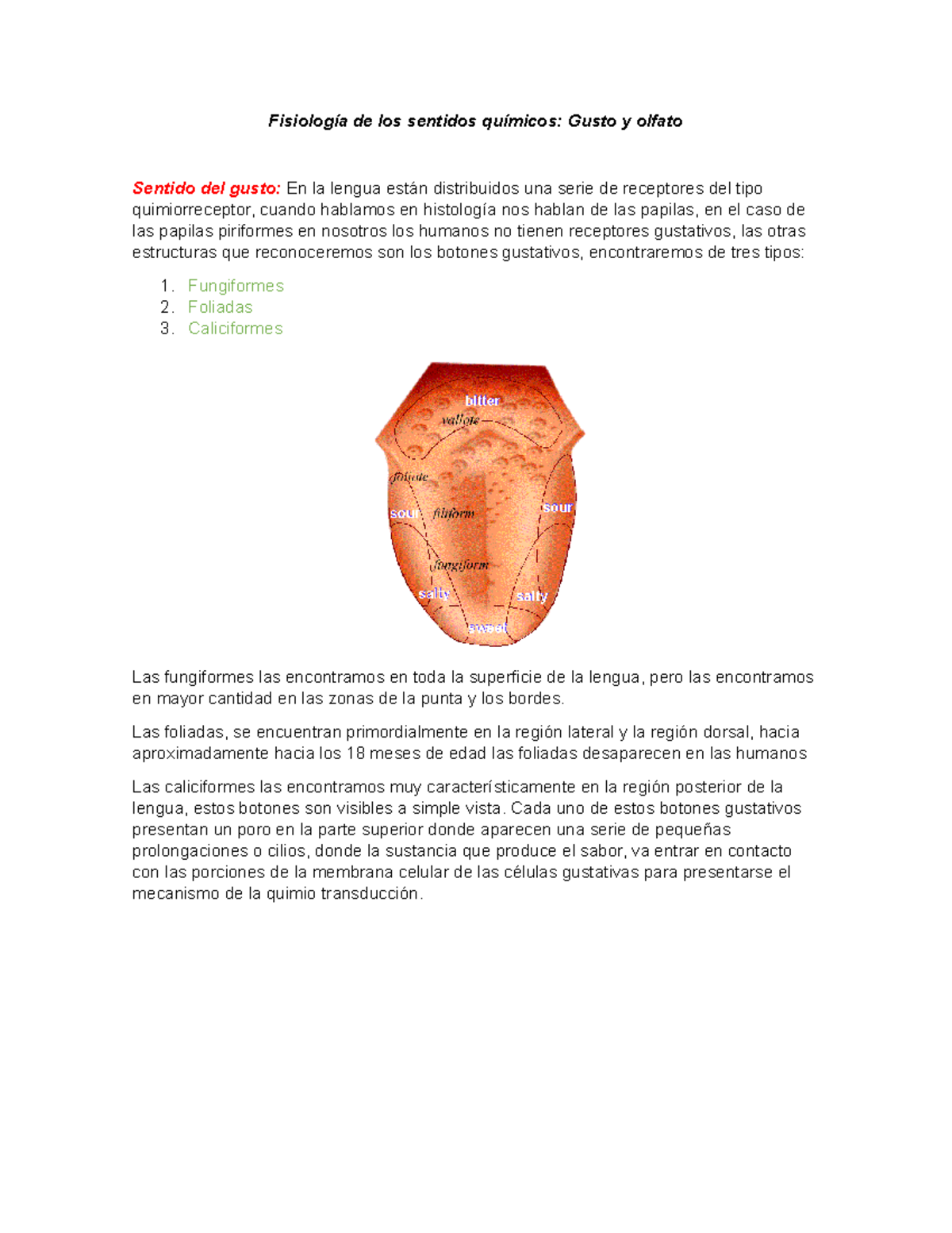 Fisiología-de-los-sentidos-químicos HDD - de los sentidos Gusto y ...