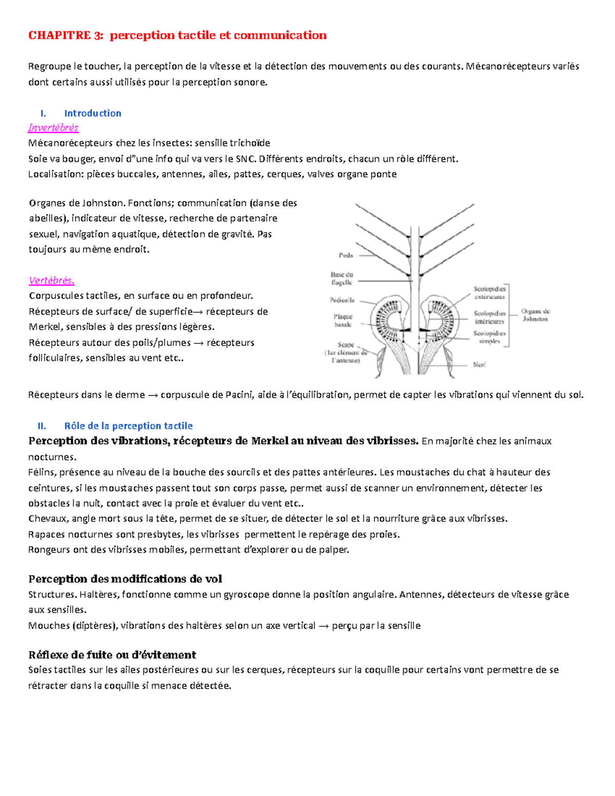 Chapitre 3 perception tactile et communication - CHAPITRE 3: perception tactile et communication ...