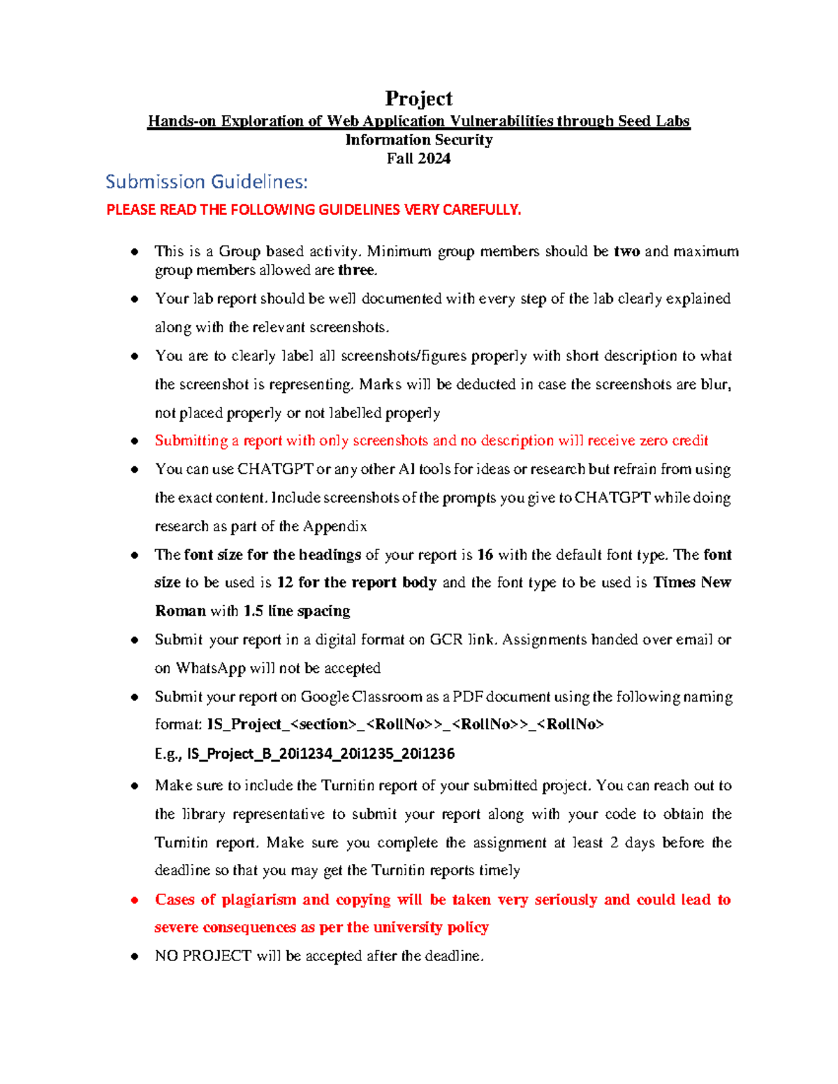 IS-Project-Fall2024 - Semester Project - Project Hands-on Exploration ...