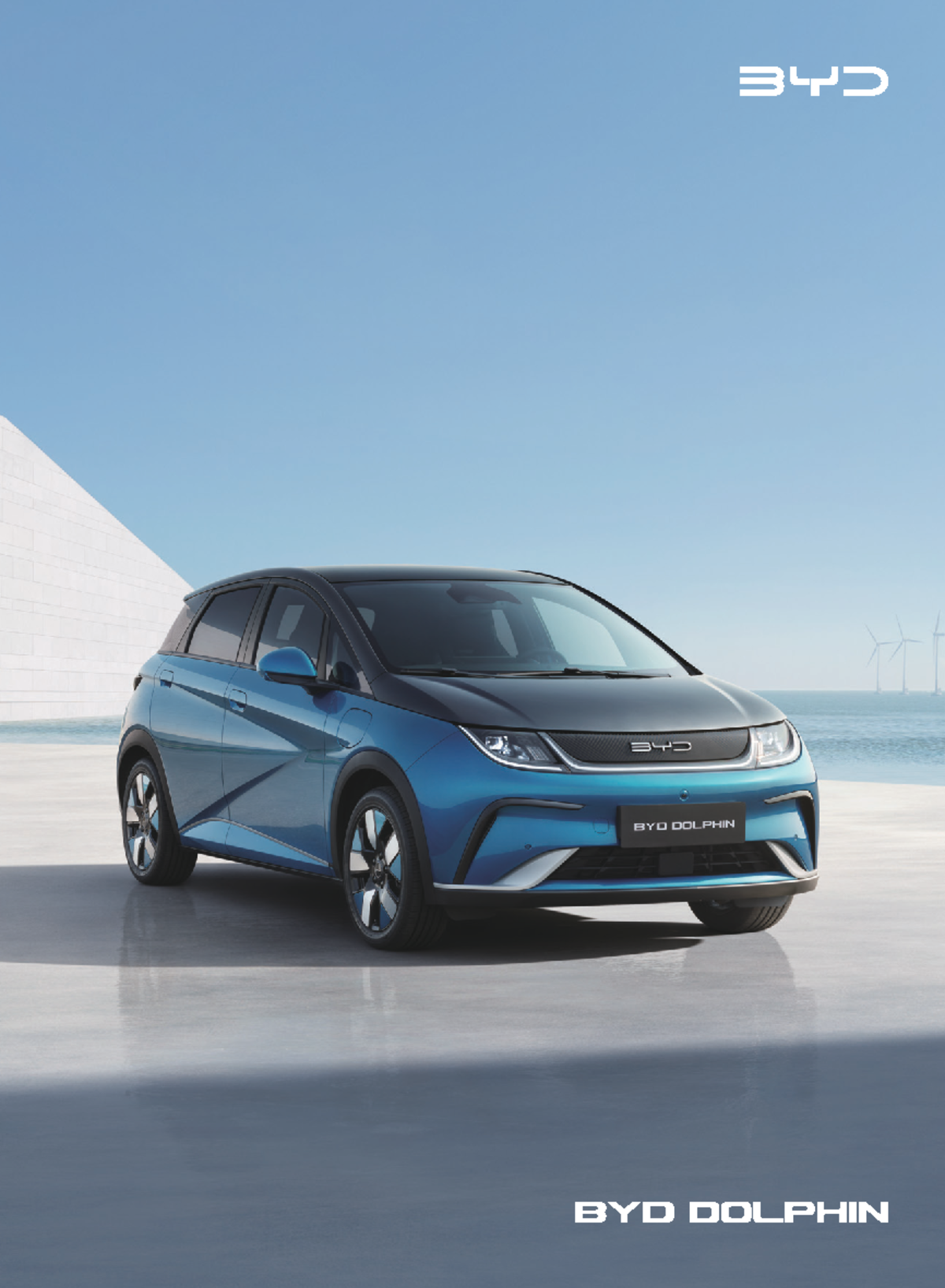 BYD Dolphin v6 - Good - BYD DOLPHIN Specification Standard Optional ...