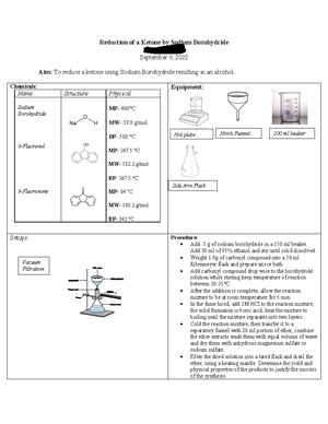 How to approach a lab write up for CHM2211L - Name Date September 11th ...