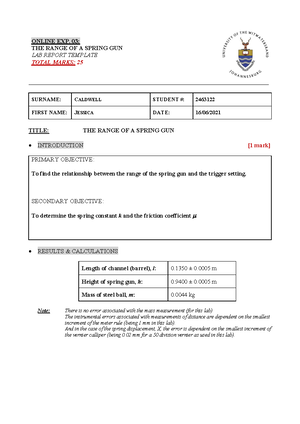 Ecsa registration report example - 1 of 9 Surname and Initials ...