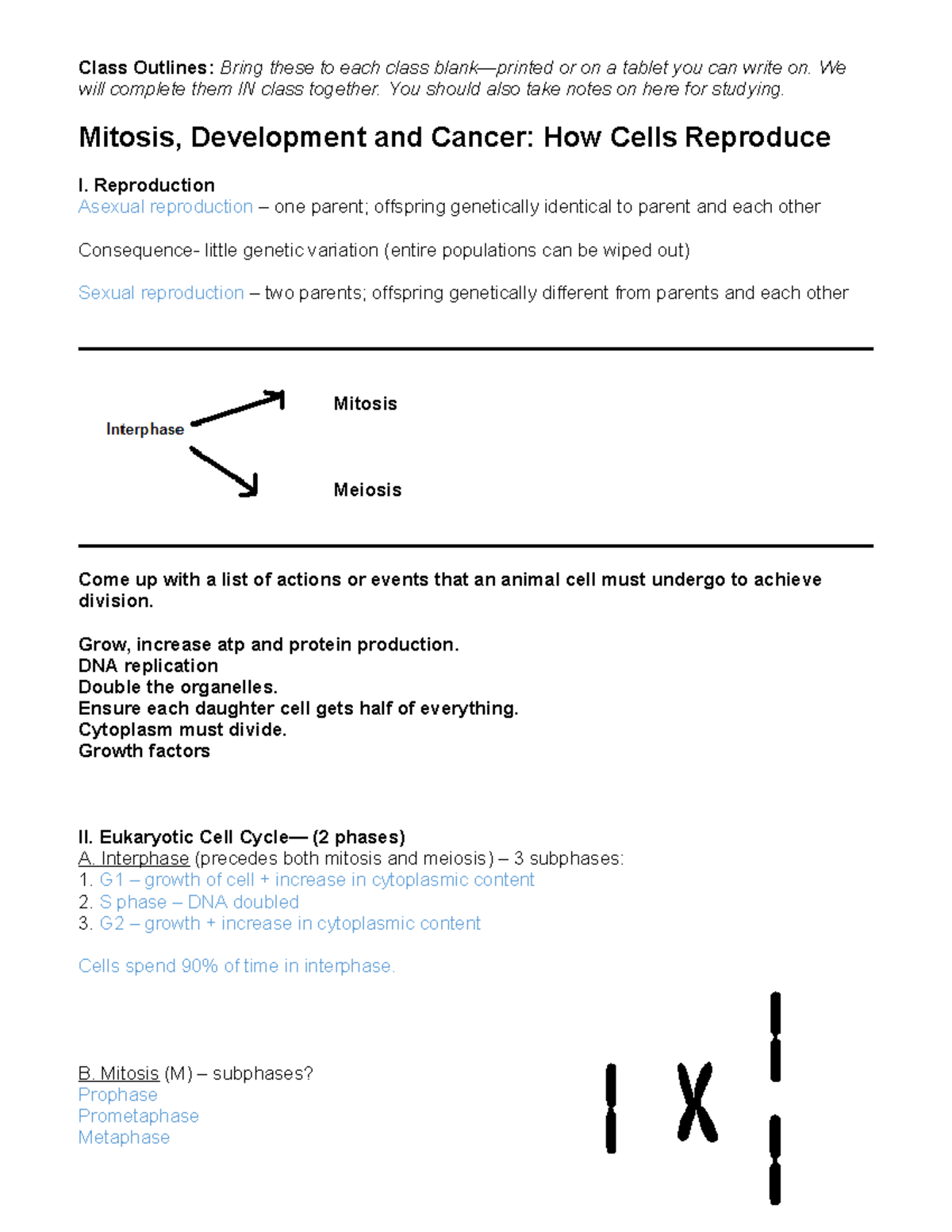 Lesson 9 Class Outline Mitosis, Development, and Cancer - will complete ...