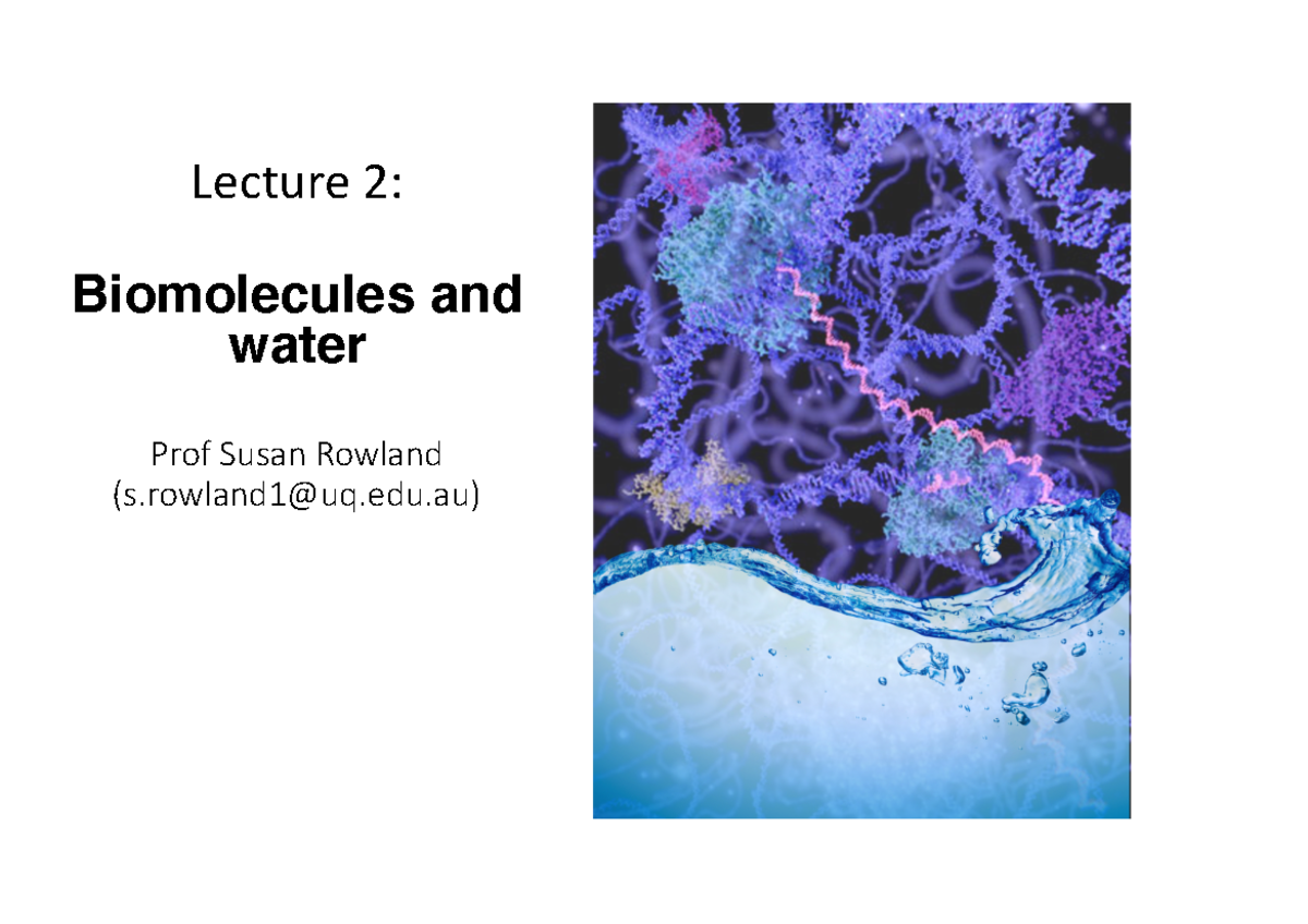 lecture 2 notes - Prof Susan Rowland (s@uq.edu) Lecture 2: Biomolecules ...