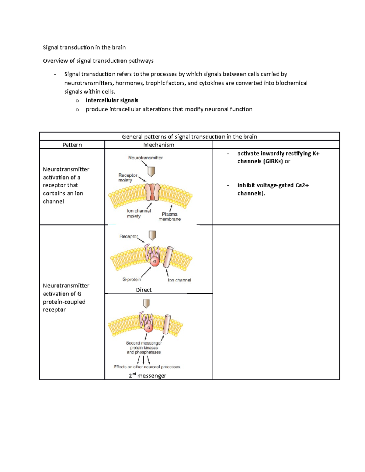 Neuropharma 2nd midterm - BIOL 4820 - Ontario Tech University - Studocu