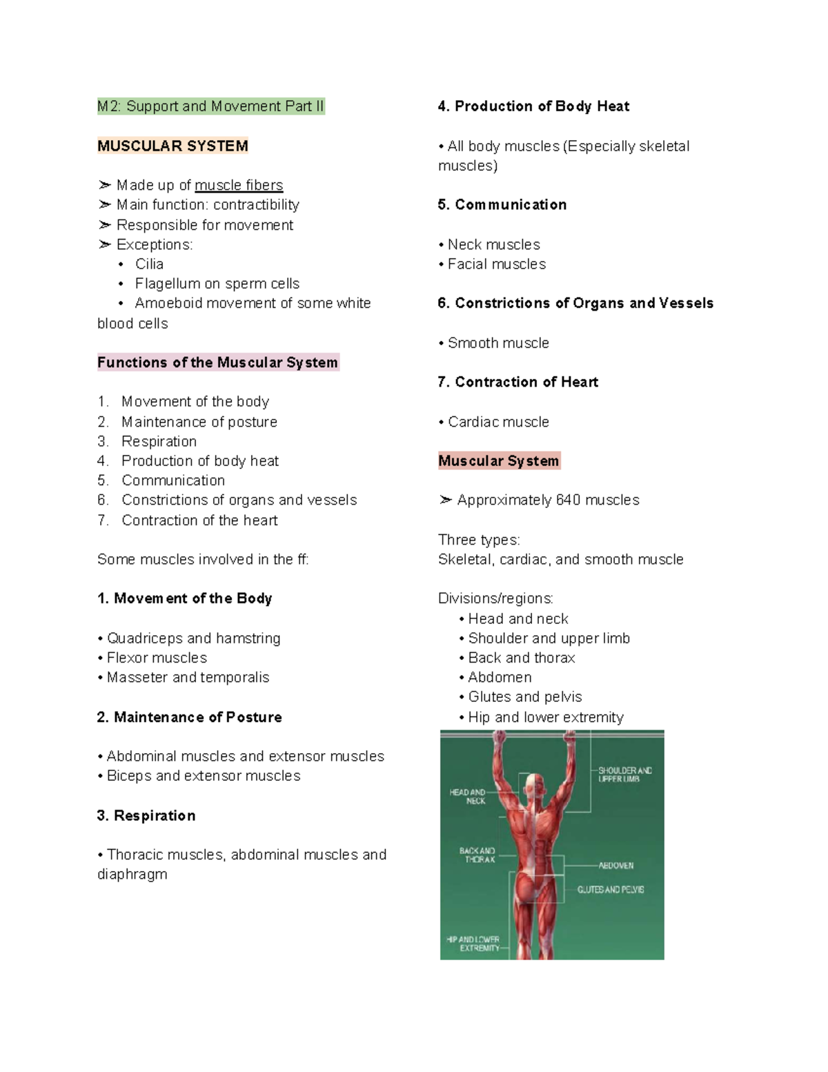 M2 Support and Movement Part II - M2: Support and Movement Part II ...