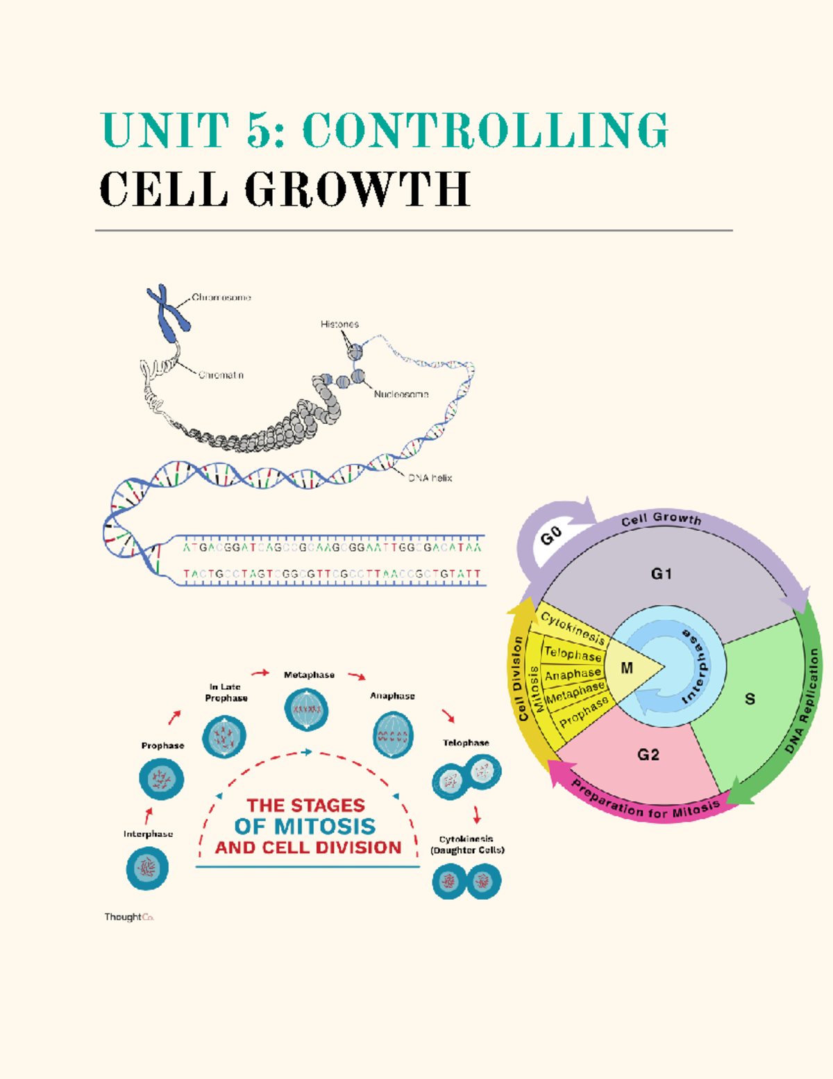 UNIT 5- Controlling CELL Growth - UNIT 5: CONTROLLING CELL GROWTH ...