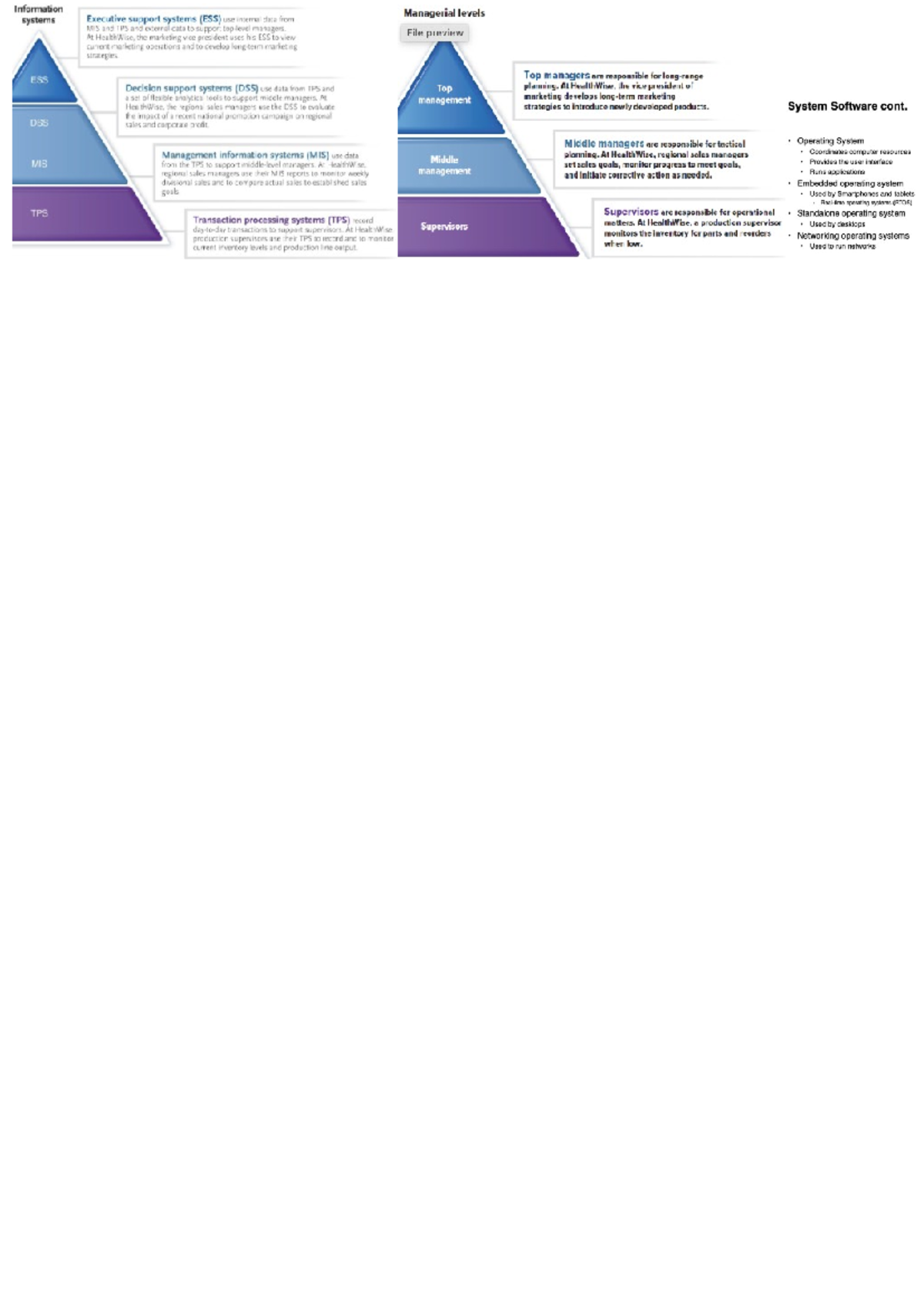 COMP1010 Cheat Sheet - Information Managerial levels systems Executive ...