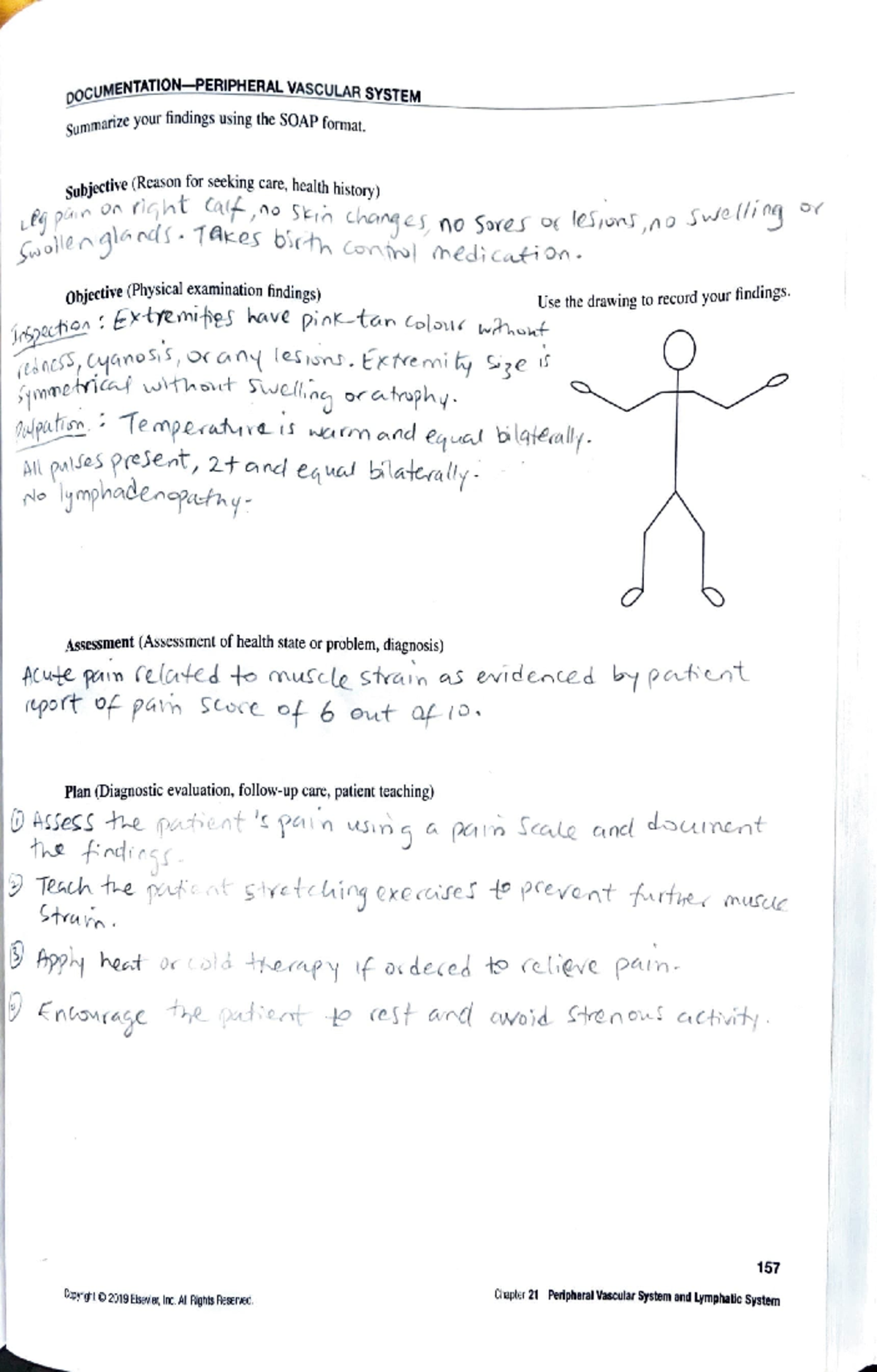 Peripheral Vascular system SOAP - - Studocu