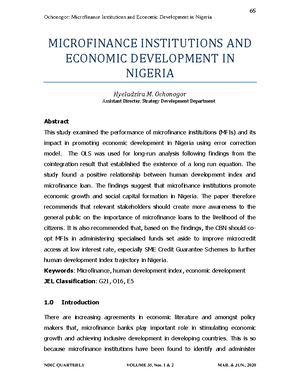 THE Types OF Microfinance Institutions - THE TYPES OF MICROFINANCE ...
