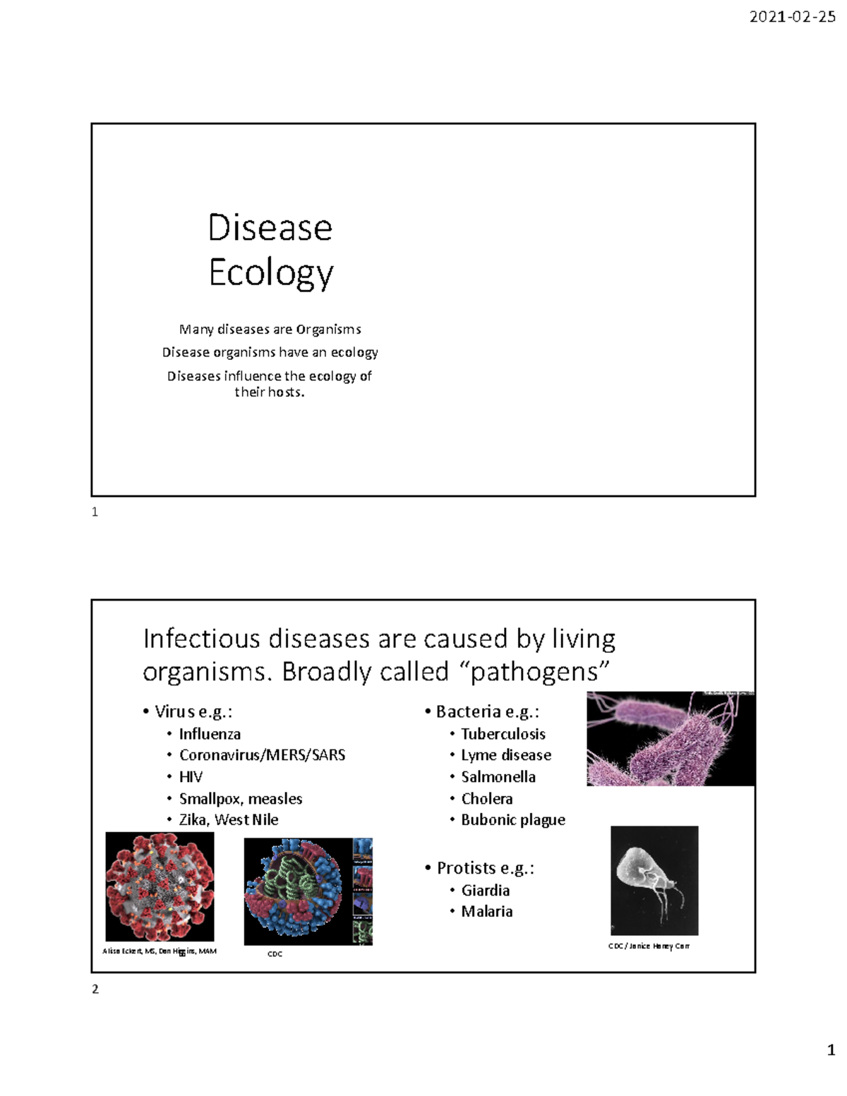 Disease Ecol Slides - Disease Ecology Many diseases are Organisms ...