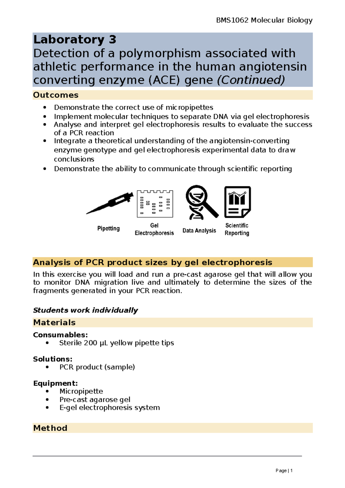 Laboratory 3 Protocol BMS1062 2022 - BMS1062 Molecular Biology Laboratory 3 Detection of a - Studocu