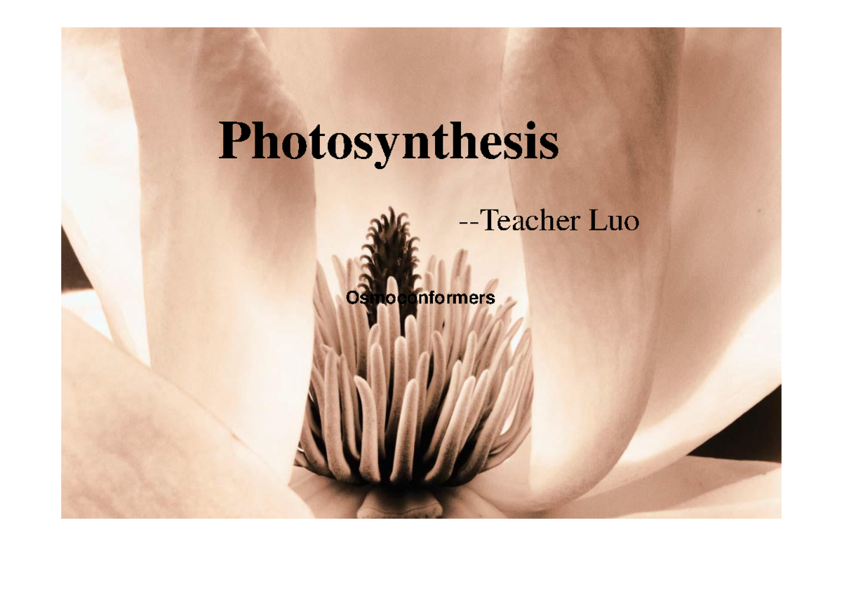 Usabo-Photosynthesis - Photosynthesis -Teacher Luo Osmoconformers Overview: The Process That ...