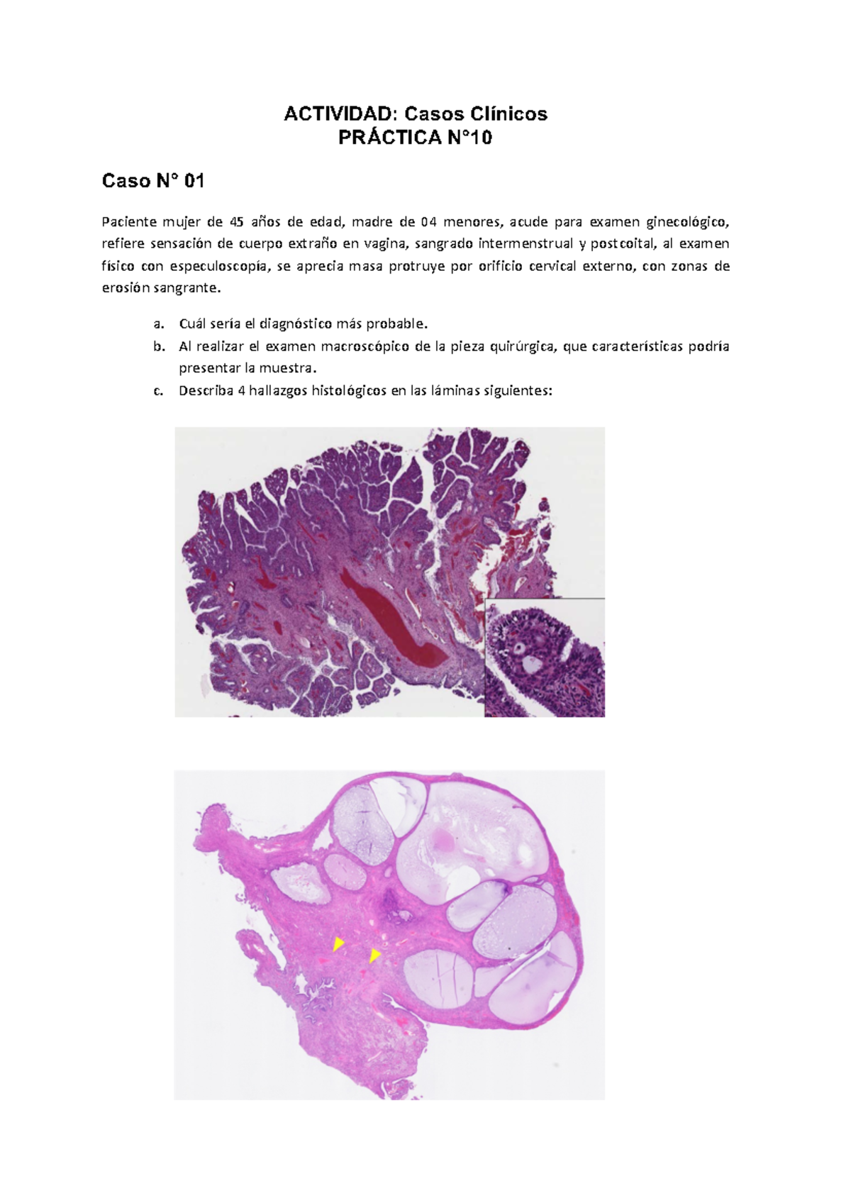 Casos Clinicos Practica 8 Actividad Casos Clínicos PrÁctica N°1 0