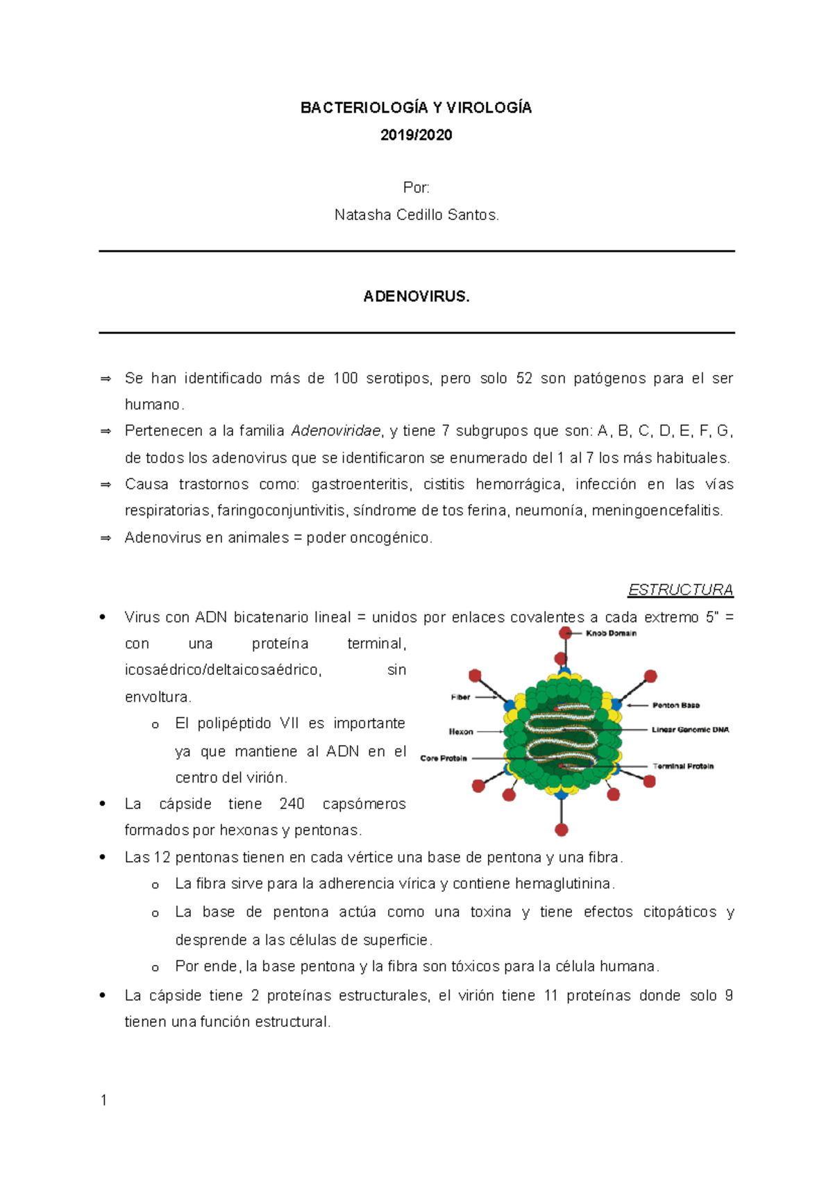 Adenovirus - Resumen Microbiología médica - BACTERIOLOGÍA Y VIROLOGÍA ...
