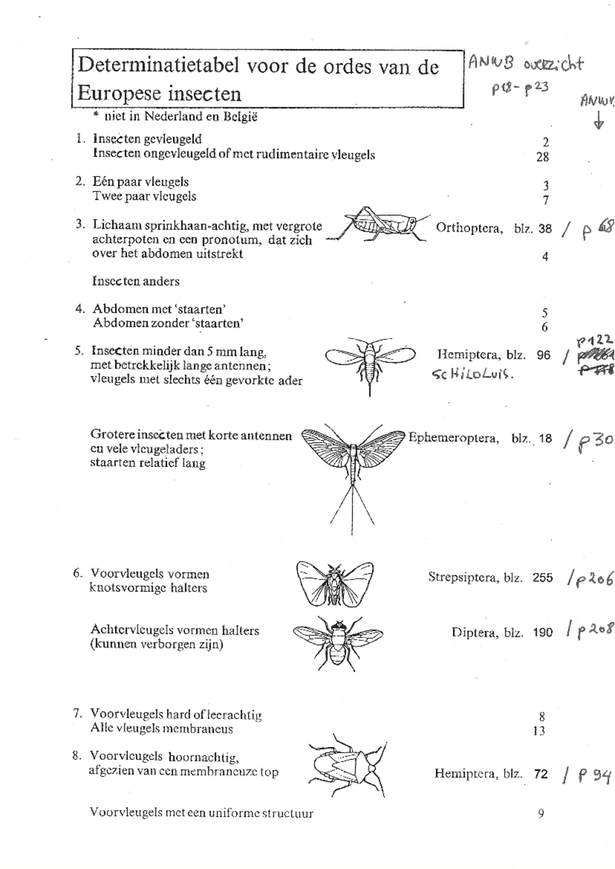 Dettabel practicum ANWB - Determinatietabel voor de ordes van de ANWB ...