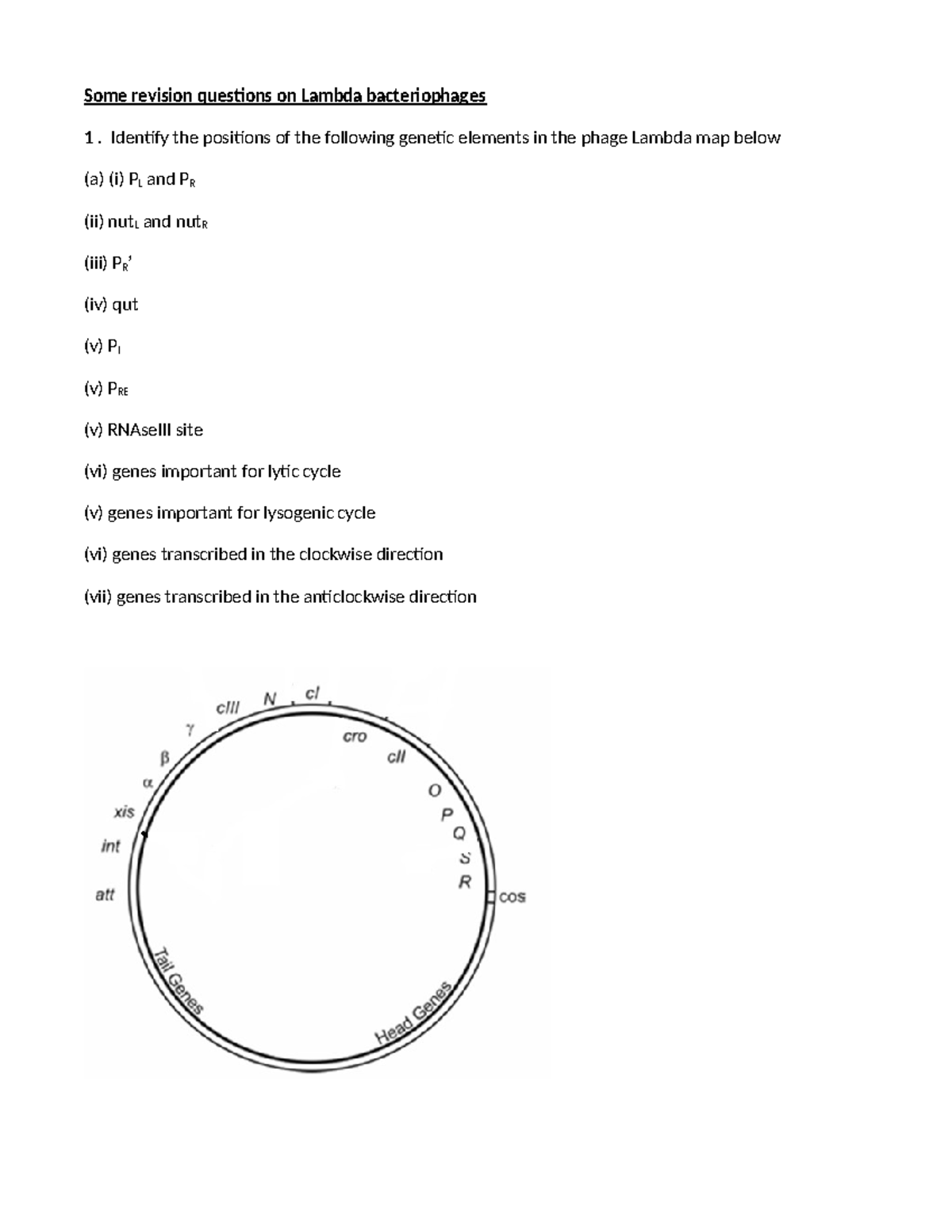 Study questions on bacteriophage lambda - Some revision questions on Lambda bacteriophages ...