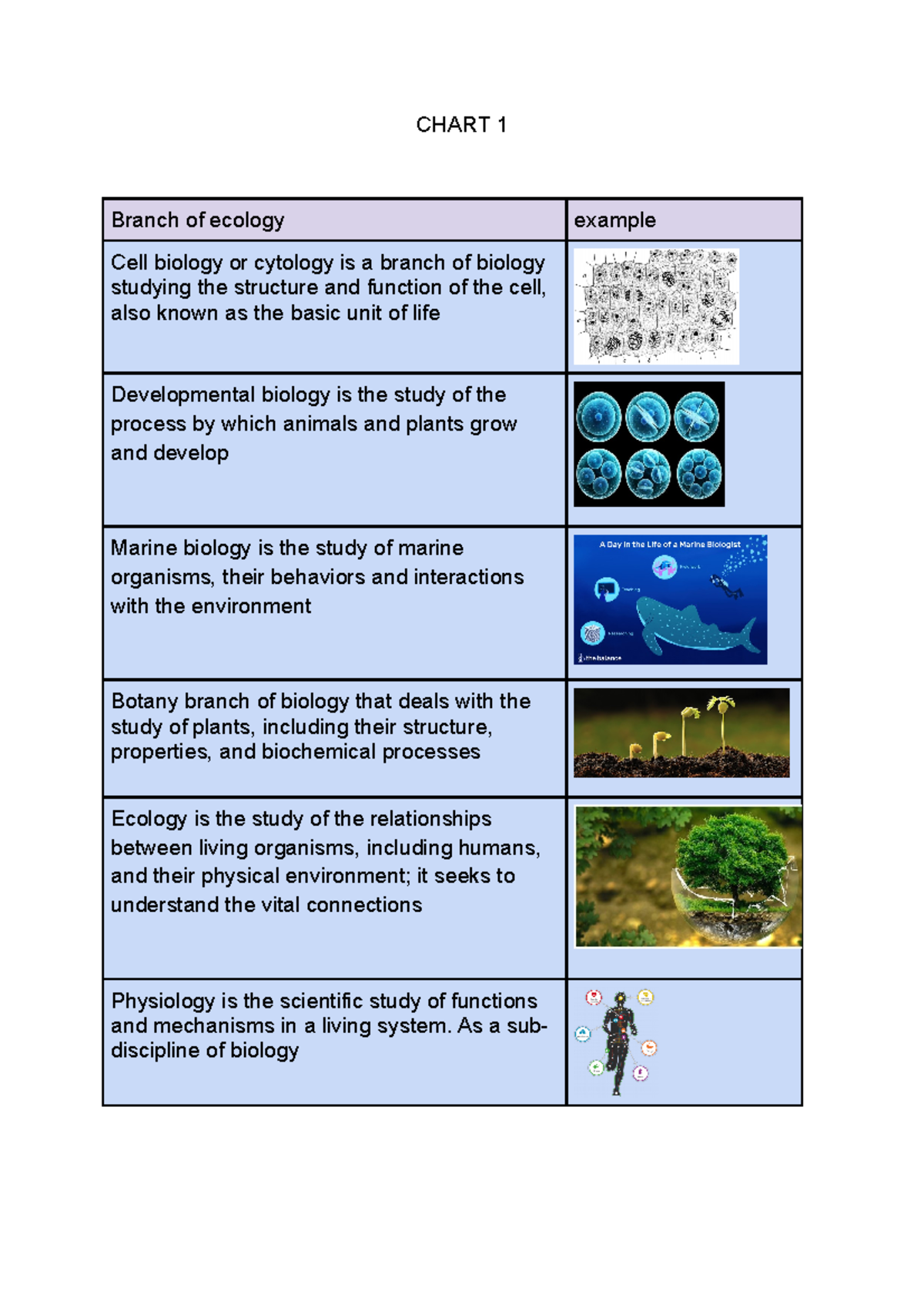 Exercise 5 LIFE SCIENCE - TAREA EJERCICIO 5 - CHART 1 Branch of ecology ...